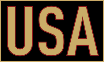 Gold & Black USA Sticker – RE Factor Tactical